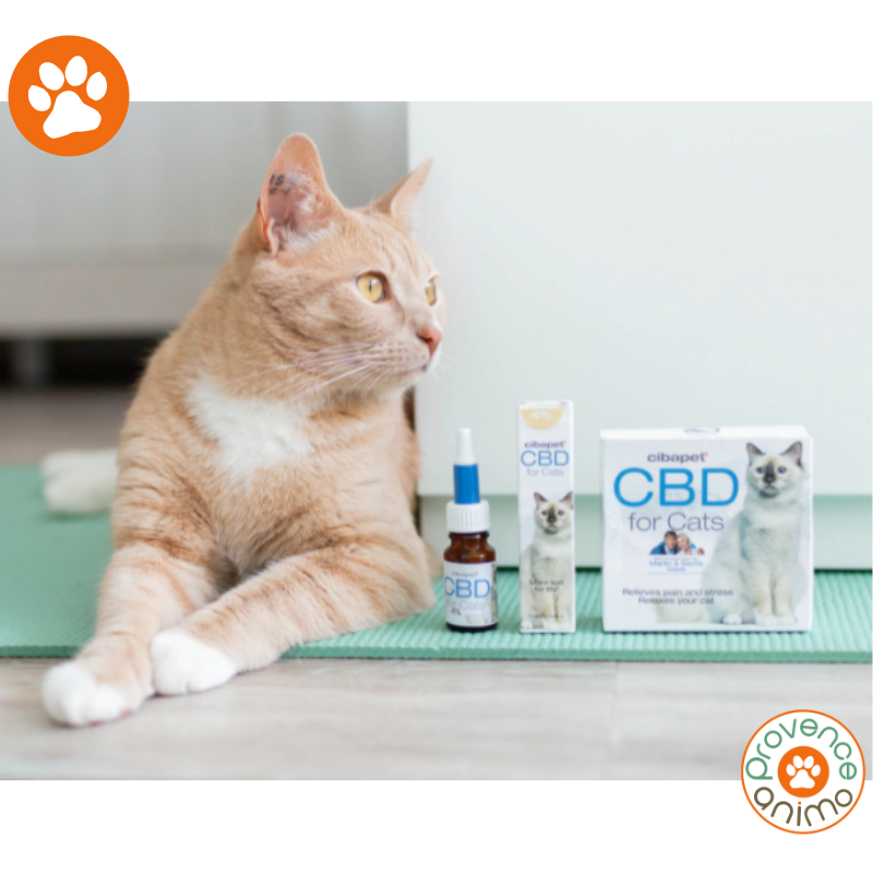 CIBDOL - Gamme CIBAPET – Provence Animo
